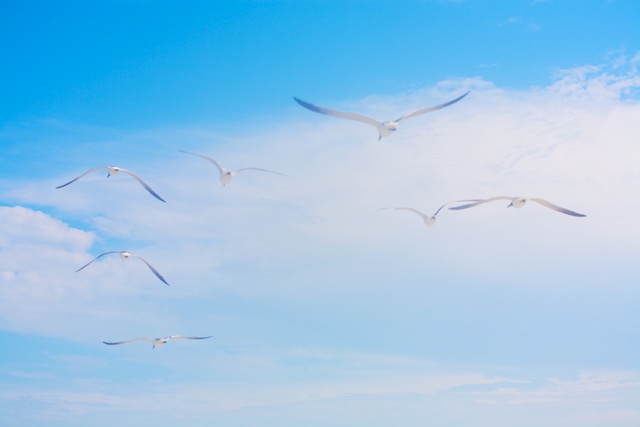 IMG_2894 | Michael Mamas