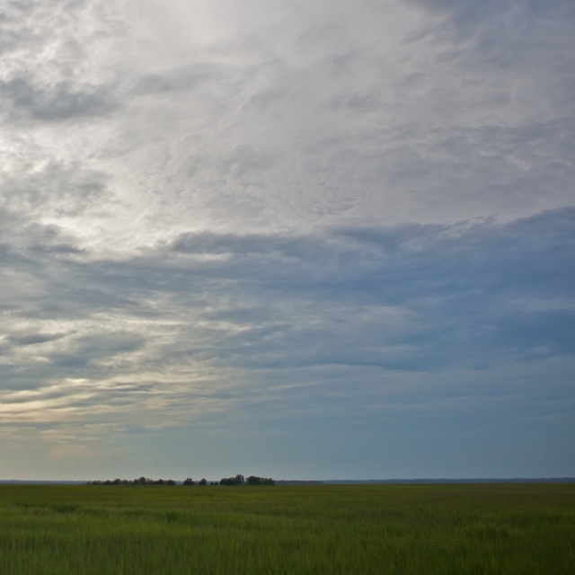 Img 2990 Michael Mamasmichael Mamas